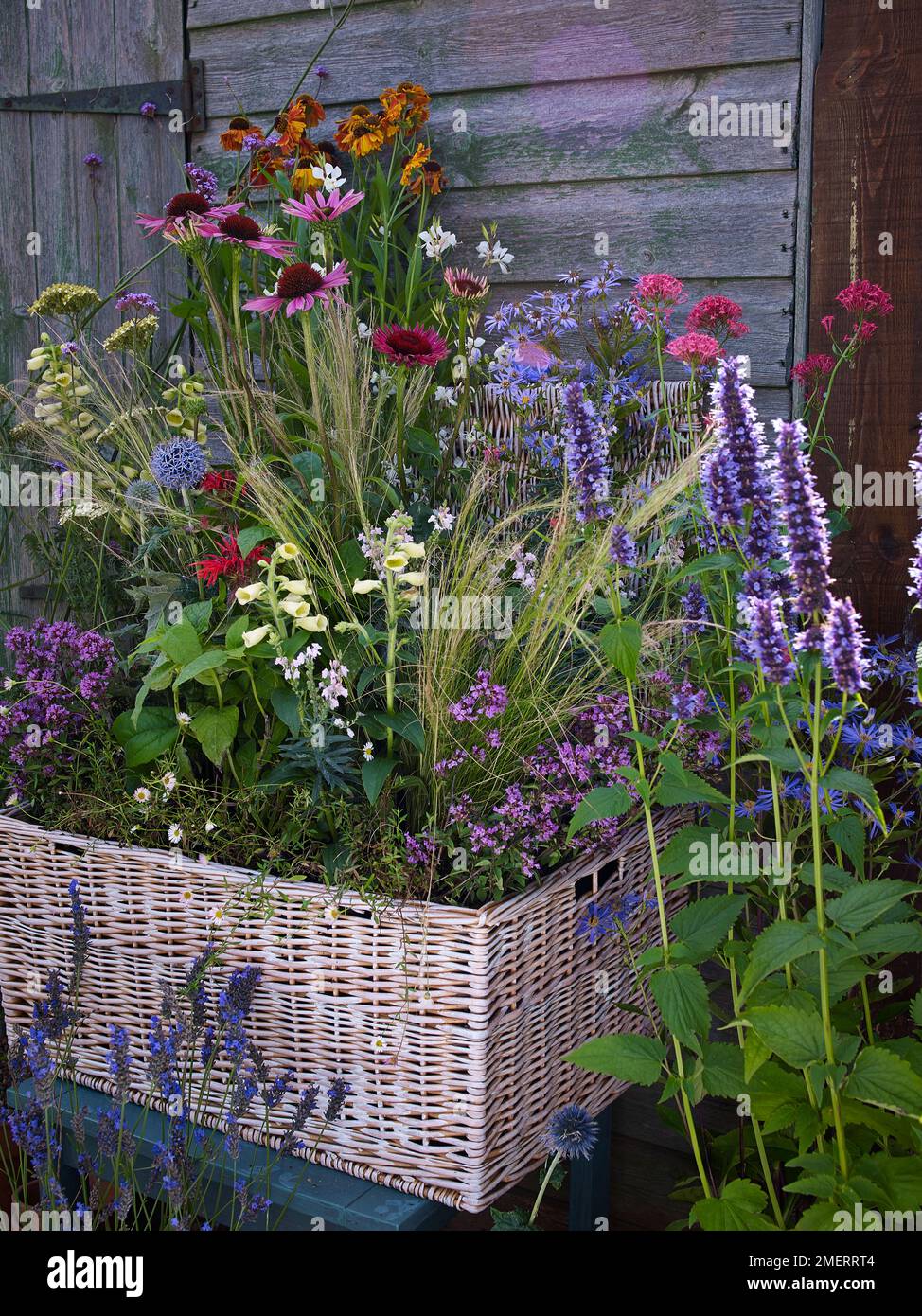 Outdoor flower container hi-res stock photography and images - Alamy