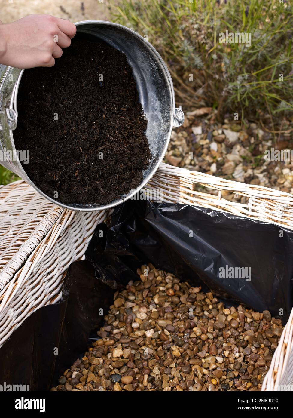 Filling lined hamper with gravel and compost Stock Photo - Alamy