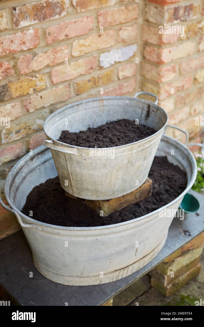 Galvanized steel planter tub hi-res stock photography and images - Alamy