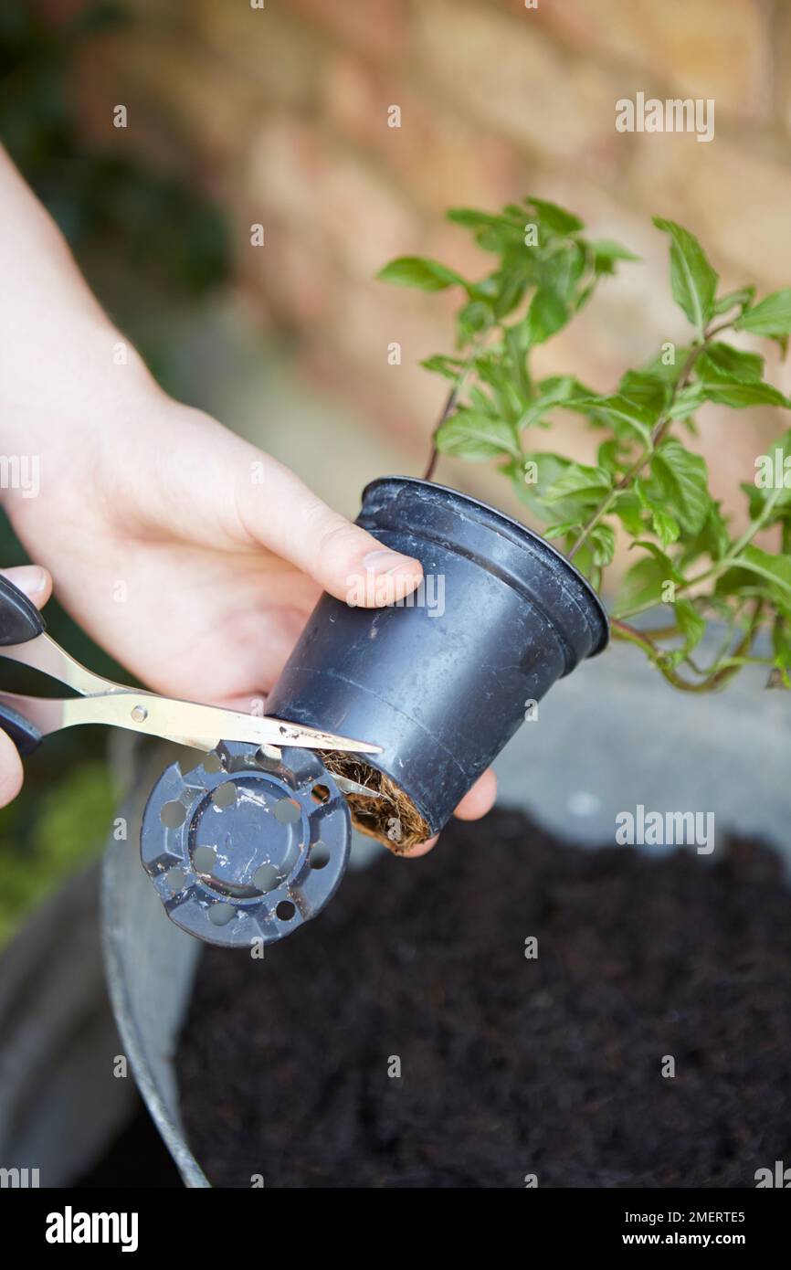 Cutting up soil hi-res stock photography and images - Alamy