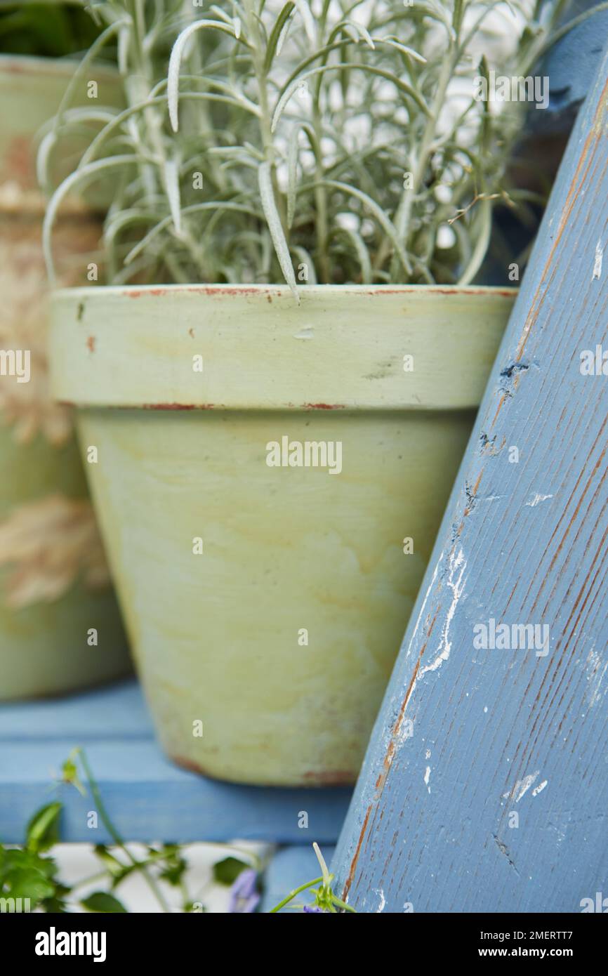 Step ladder planter hi-res stock photography and images - Alamy