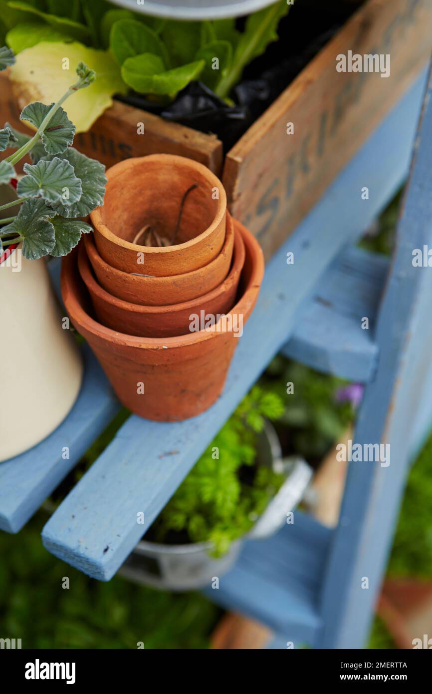 Pots and plants on step ladder planter Stock Photo - Alamy