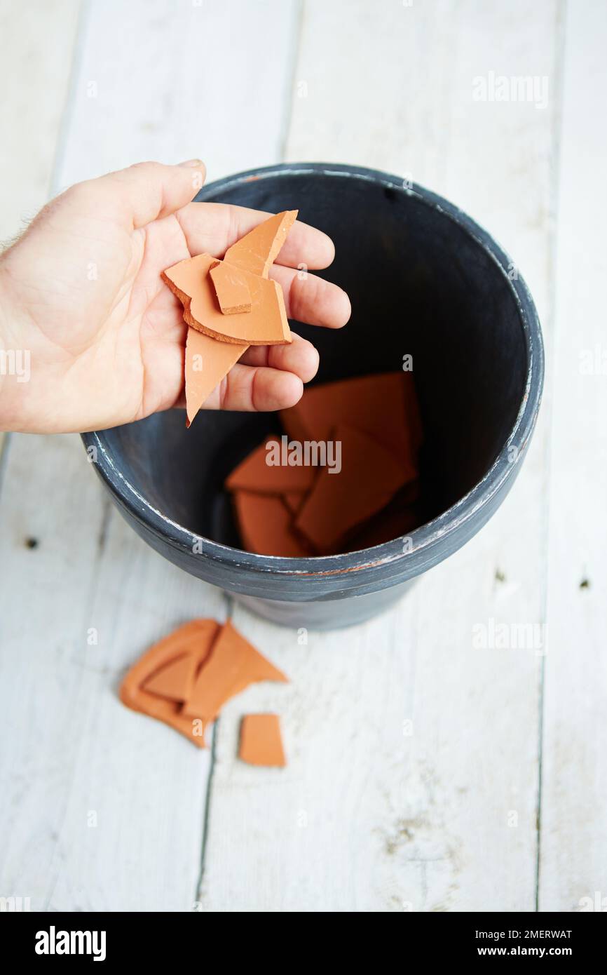 Adding broken pots, drainage, to plant pot Stock Photo - Alamy