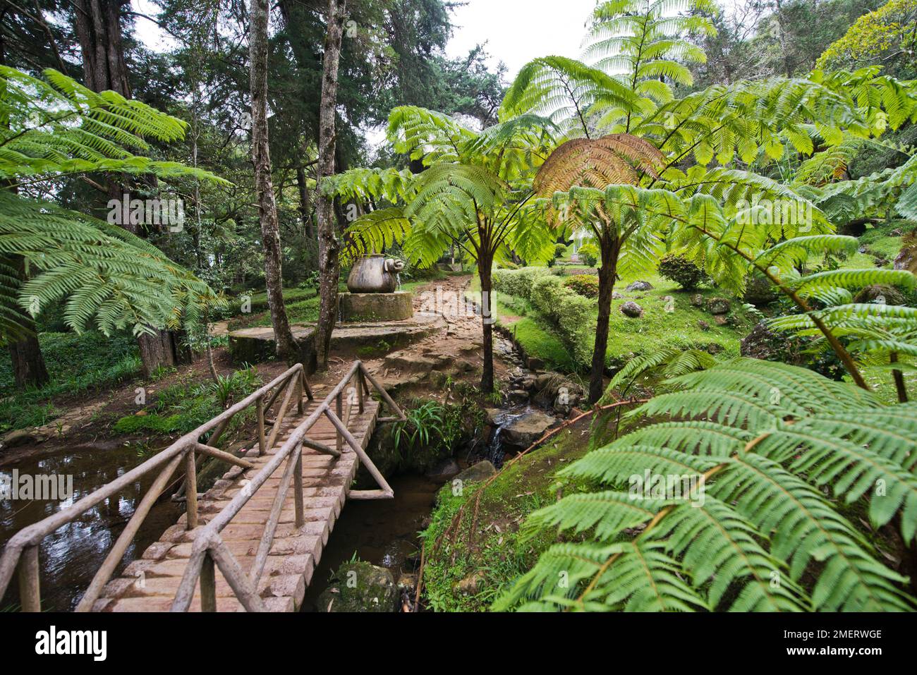 Nuwara eliya hakgala botanical gardens hi-res stock photography and ...