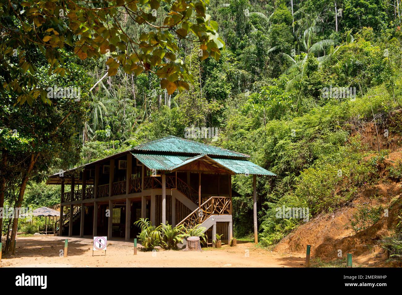 Province of Sabaragamuwa, Ratnapura, Sinharaja Forest Reserve, Sri ...