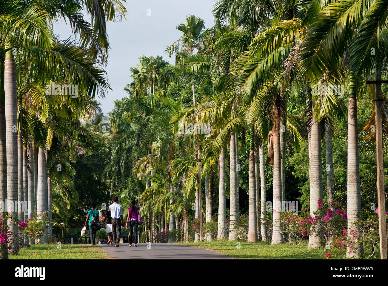 Gampaha, Henarathgoda botanical garden, Sri Lanka, Western Province ...