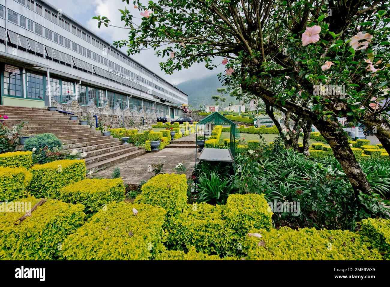 Tea factory building hi-res stock photography and images - Alamy
