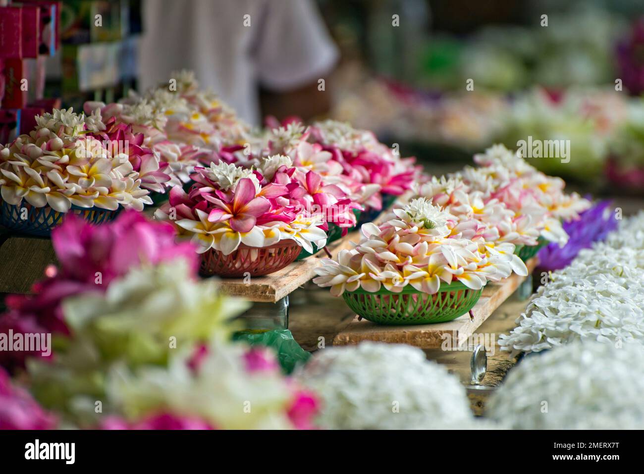 Central Province, Flowers for Offering, Kandy, Sri Lanka Stock Photo ...