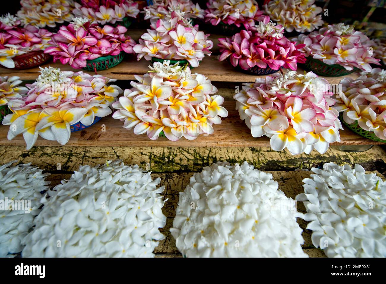 Central Province, Flowers for Offering, Kandy, Sri Lanka Stock Photo ...