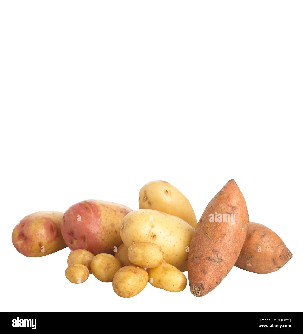 Variety of sweet potatoes hi-res stock photography and images - Alamy