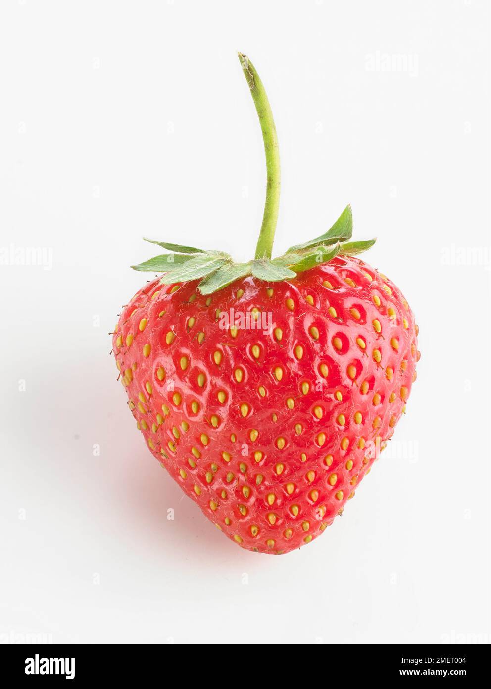 One strawberry stem hi-res stock photography and images - Alamy