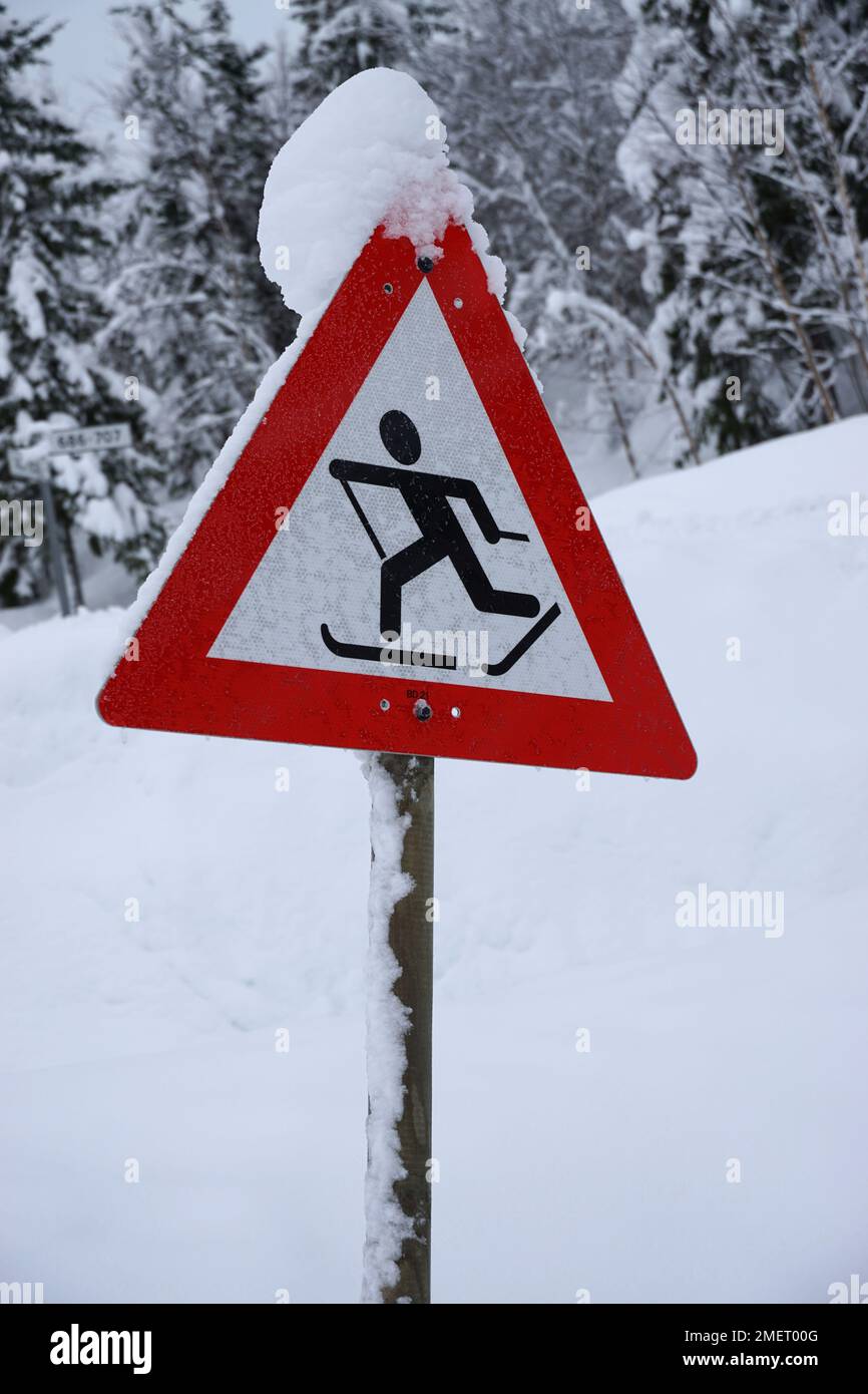 Road sign, warning for skiers, from ski area in Norway Stock Photo - Alamy