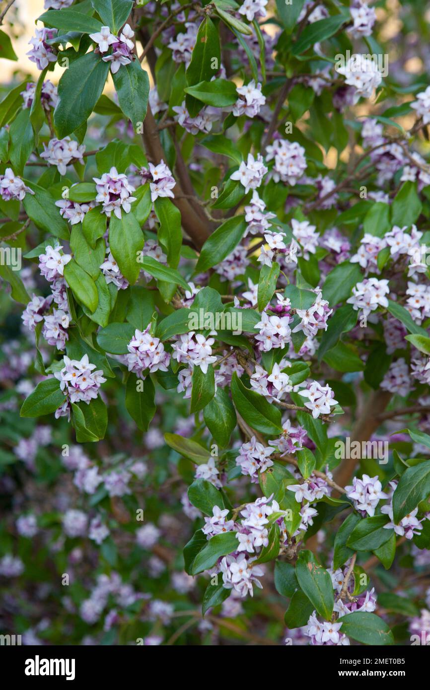 Peter smithers hi-res stock photography and images - Alamy