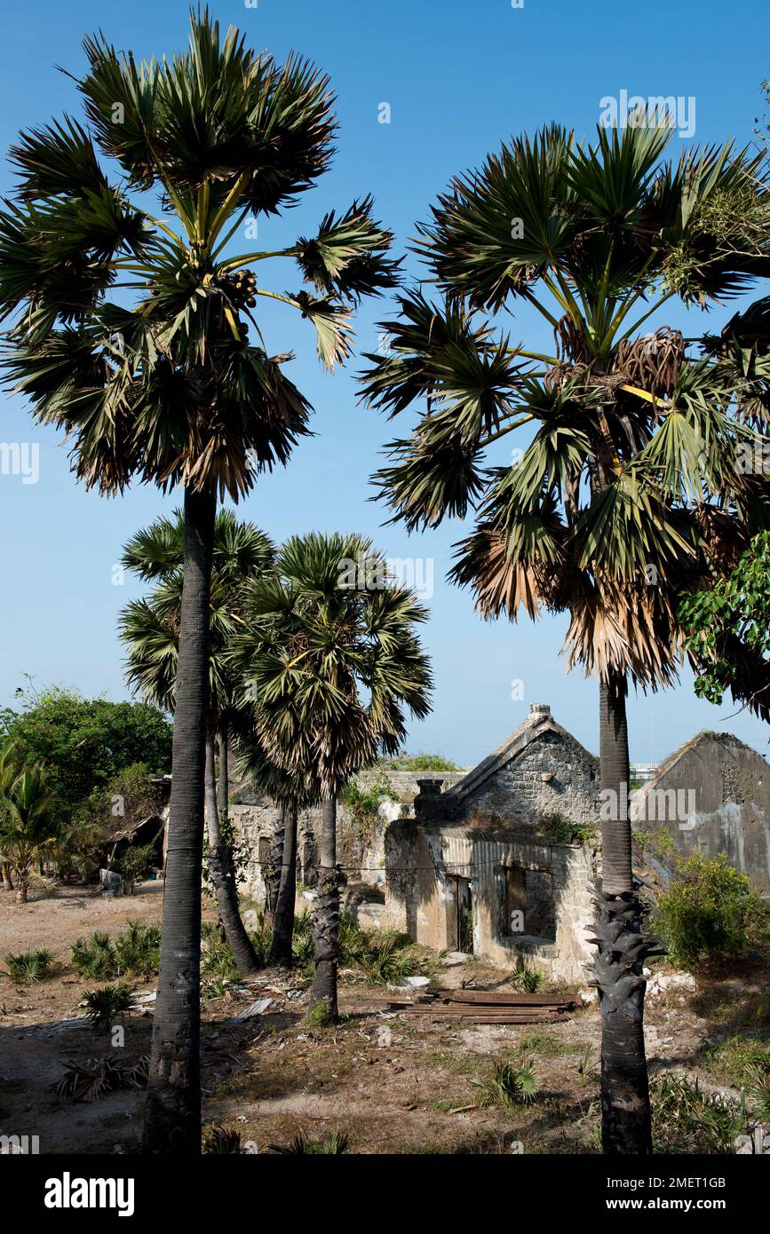 Fort, Mannar Island, North Eastern Province, Sri Lanka, Talaimannar ...