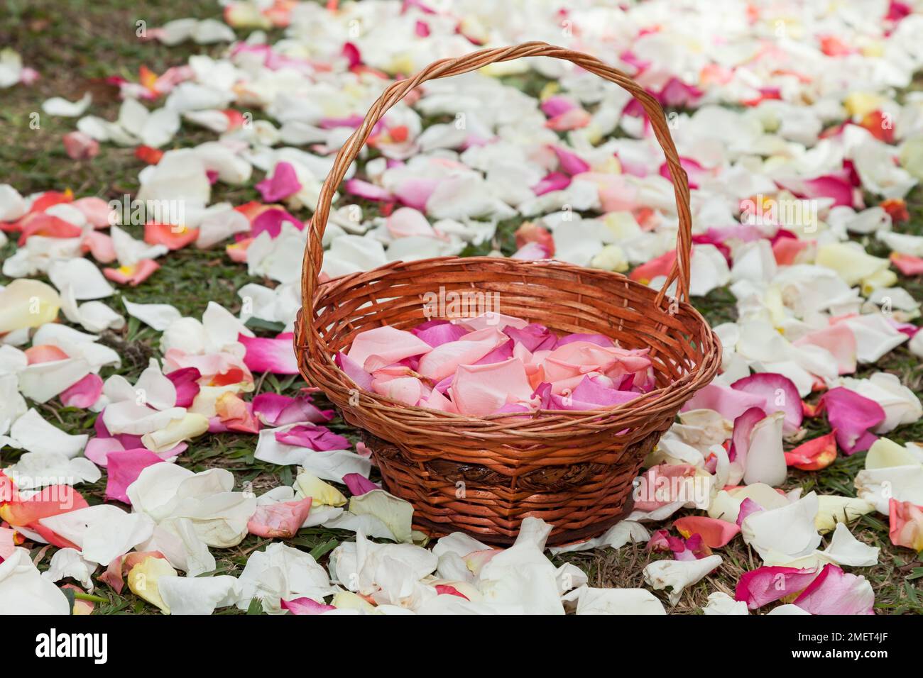Petals in a circle hi-res stock photography and images - Alamy