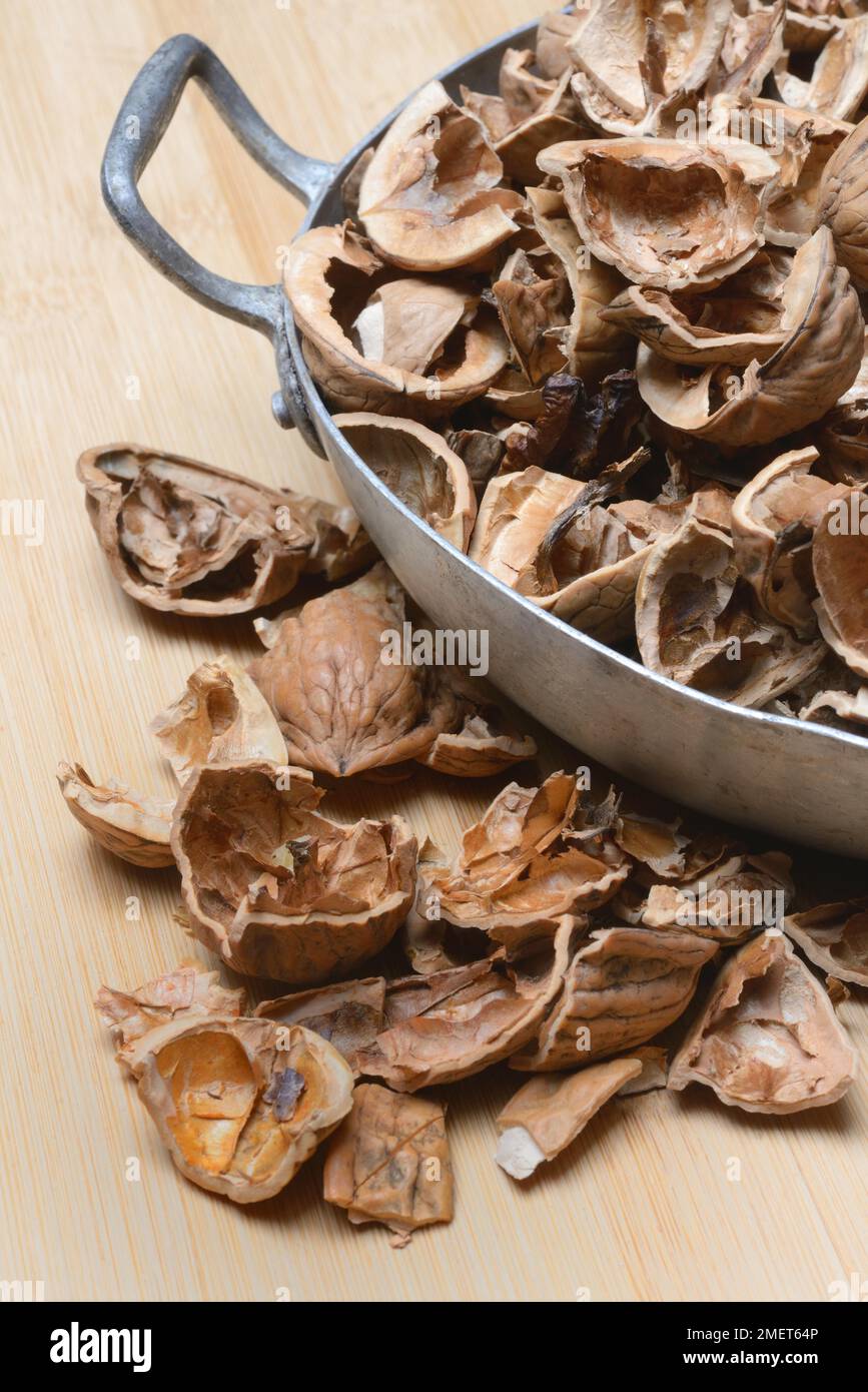 Persian walnut (Juglans regia), walnut shells in shell Stock Photo - Alamy