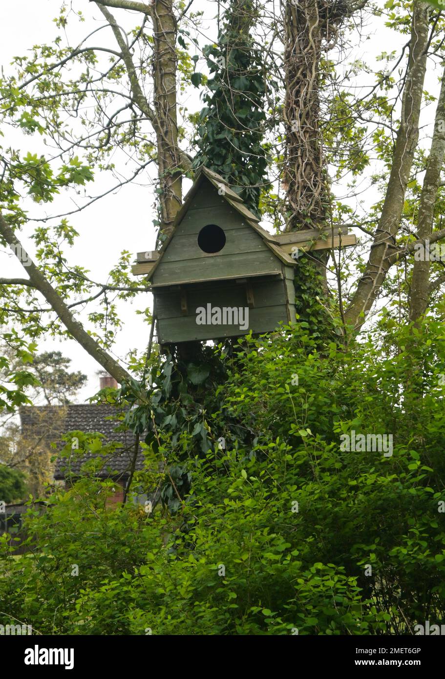 Birdbox hi-res stock photography and images - Alamy