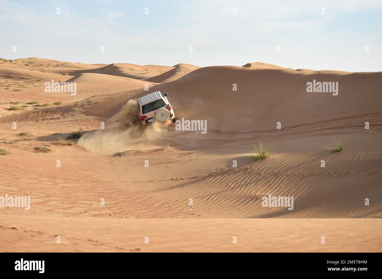 Desert Safari in the Sand Desert near Dubai, United Arab Emirates Stock ...