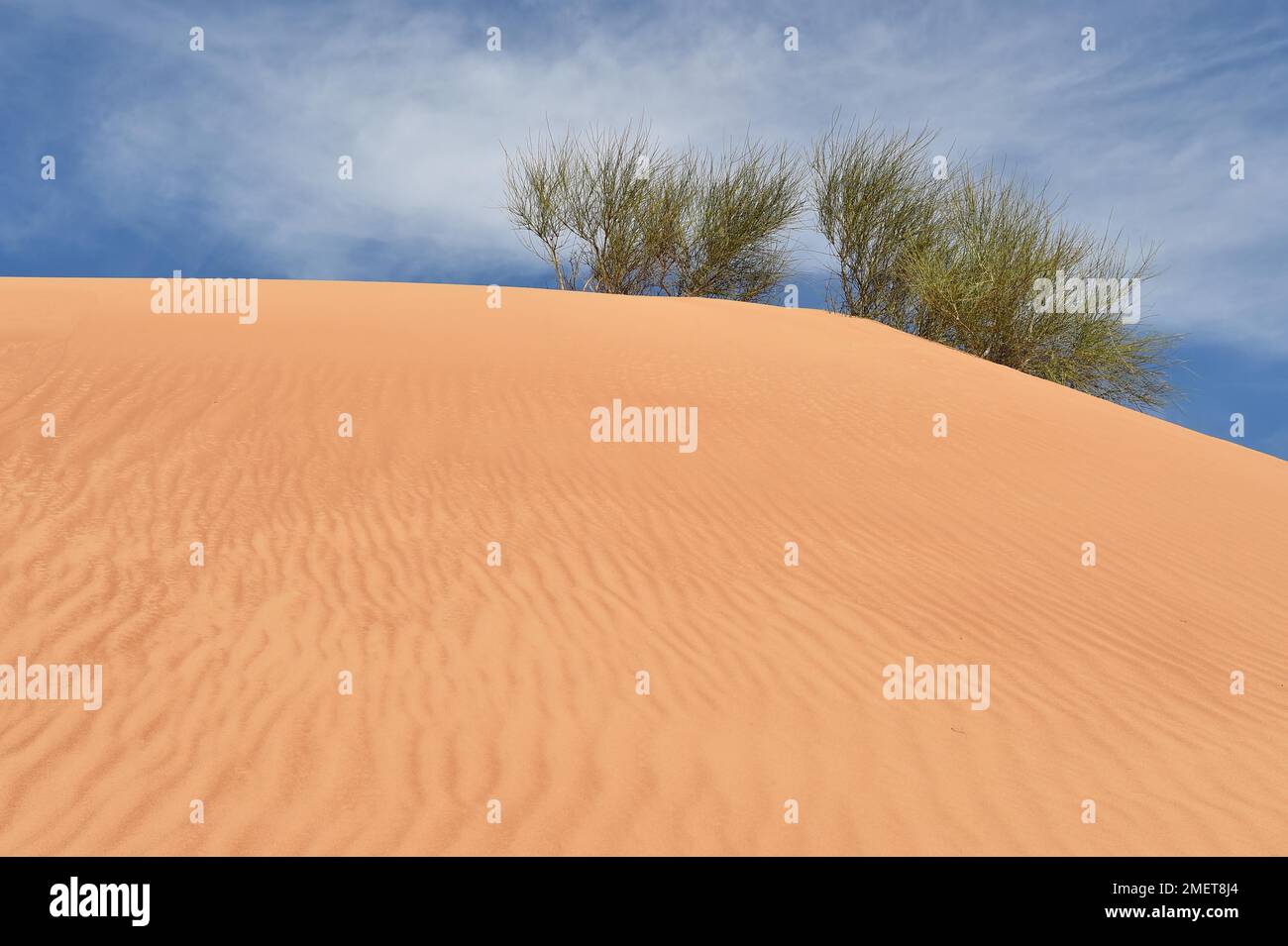 Dubai emirates desert hi-res stock photography and images - Alamy