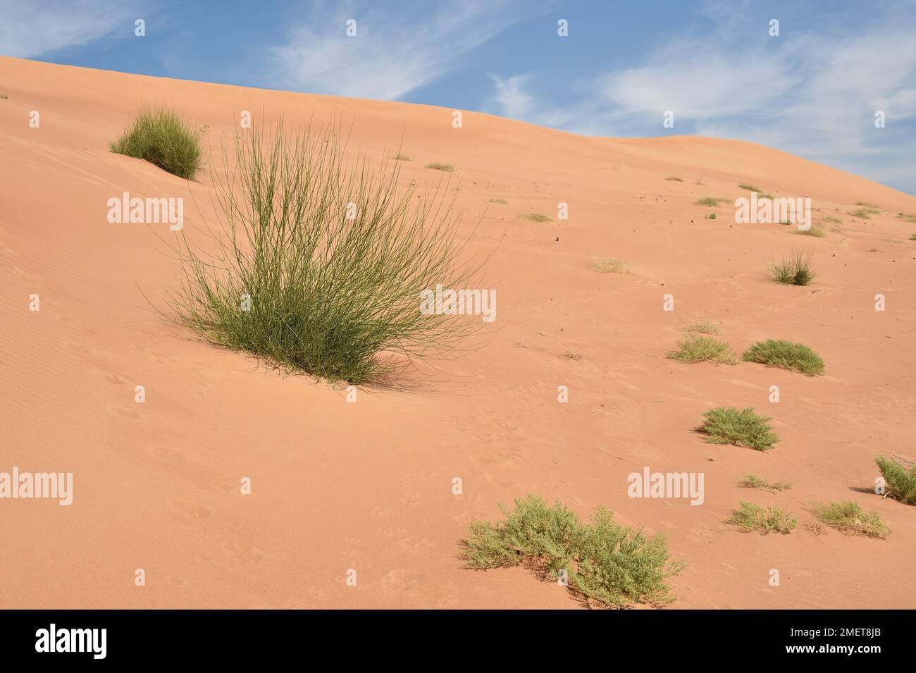 Desert arab dubai sand hi-res stock photography and images - Alamy