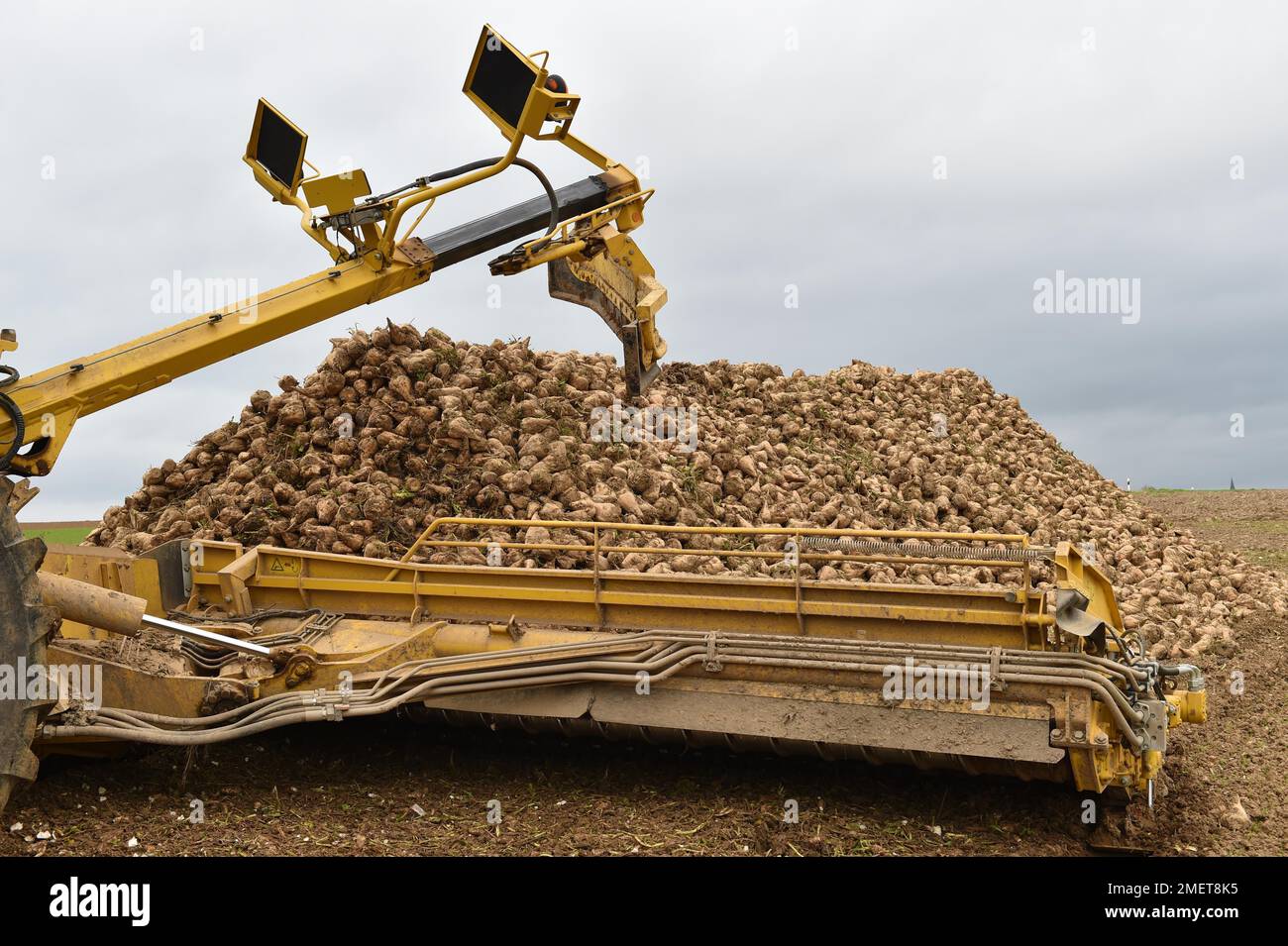 Beet cleaning loader hi-res stock photography and images - Alamy