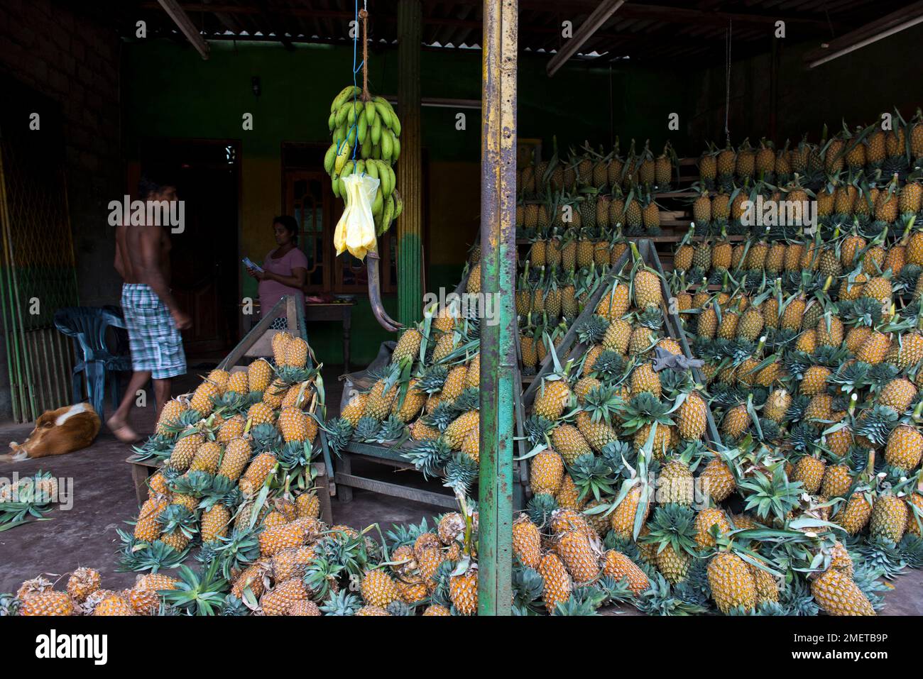 A1, Kandy Road, Sri Lanka, Western Province, Yakkala, roadside fruit ...