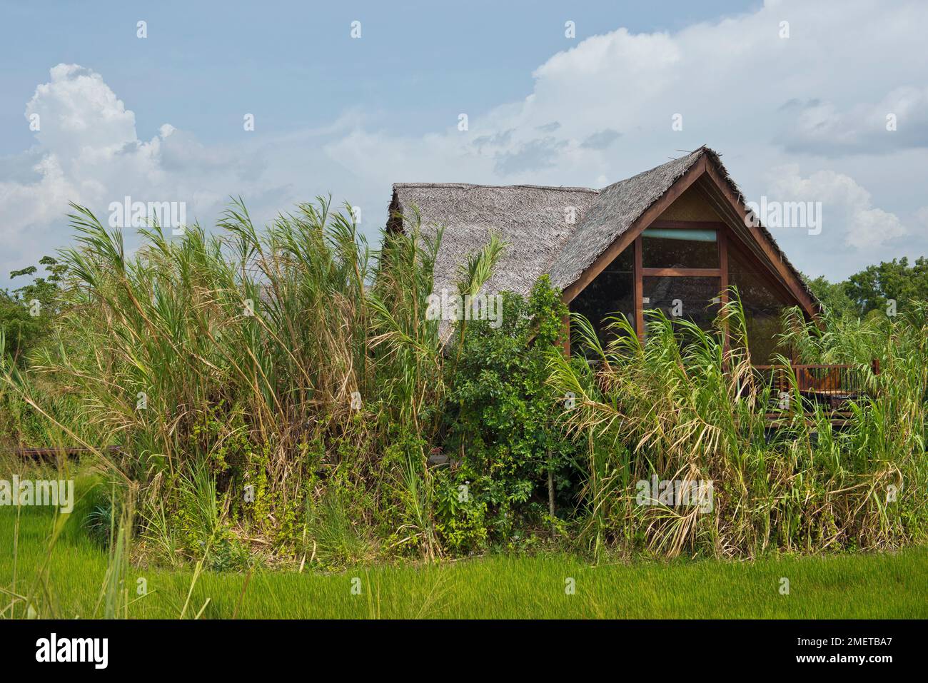 Kimbissa, Sigiriya, Vil Uyana, Southern Province,Sri Lanka, hotel Stock ...