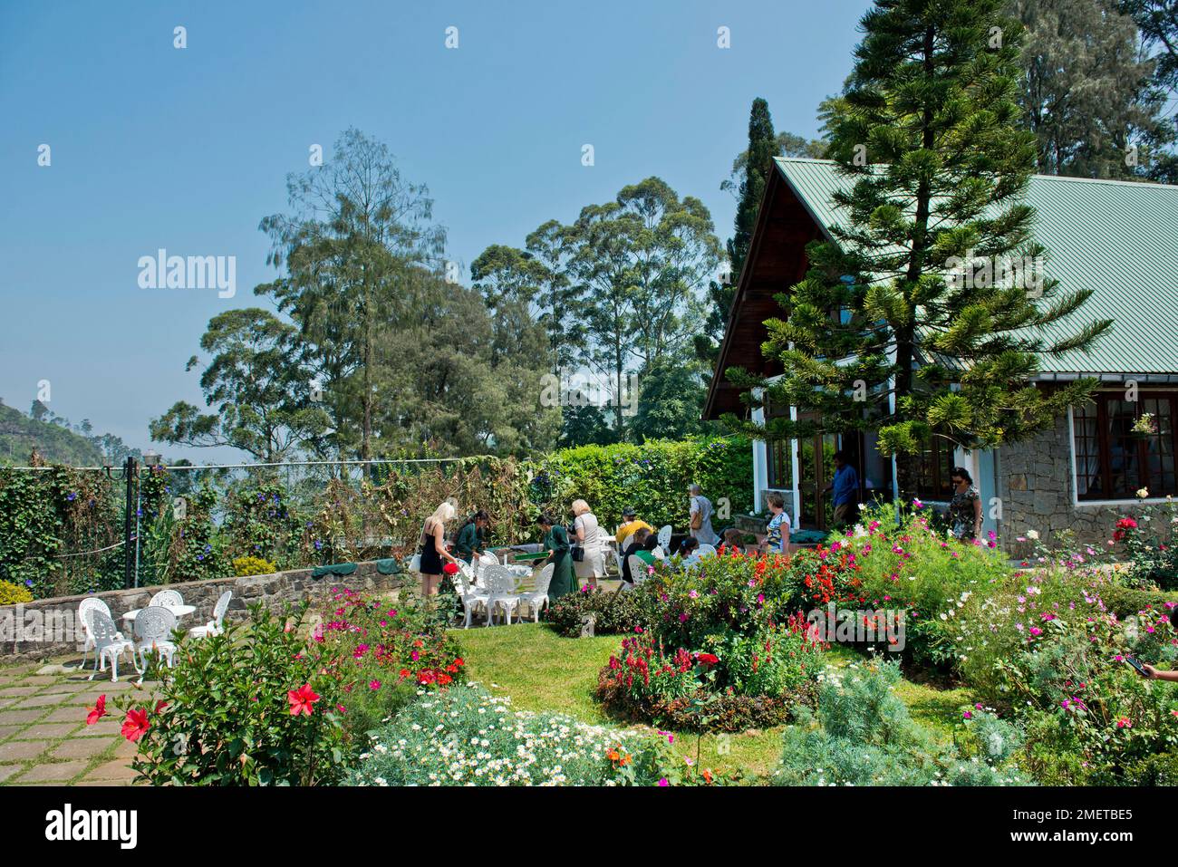 Labookellie Tea Factory, Nuwara Eliya, Province of Uva, Sri Lanka ...