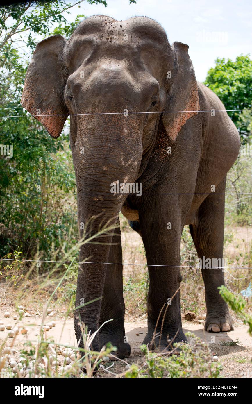 Park province hi-res stock photography and images - Alamy