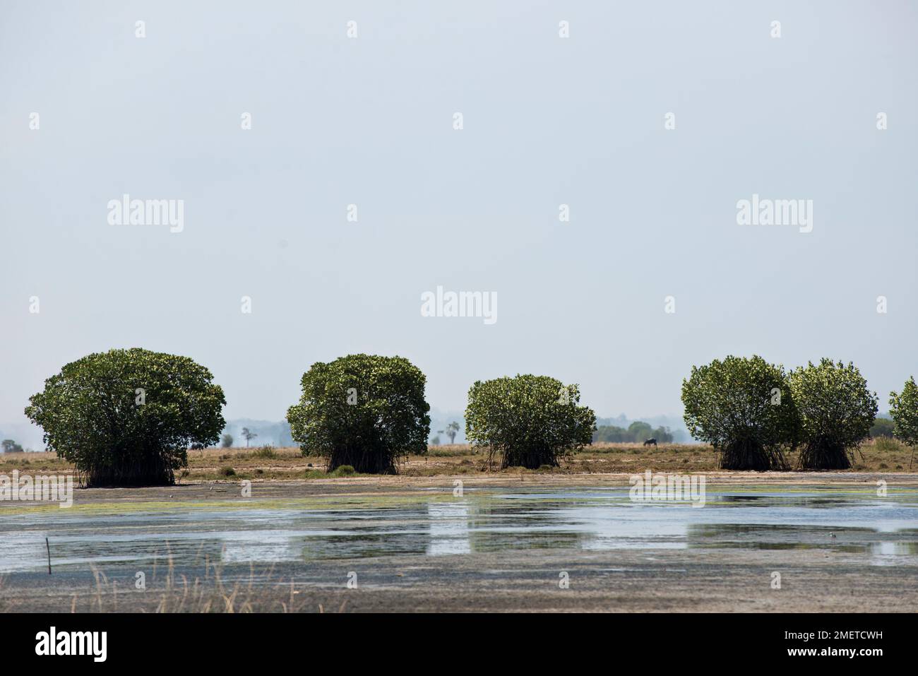 Pottuvil lagoon hi-res stock photography and images - Alamy
