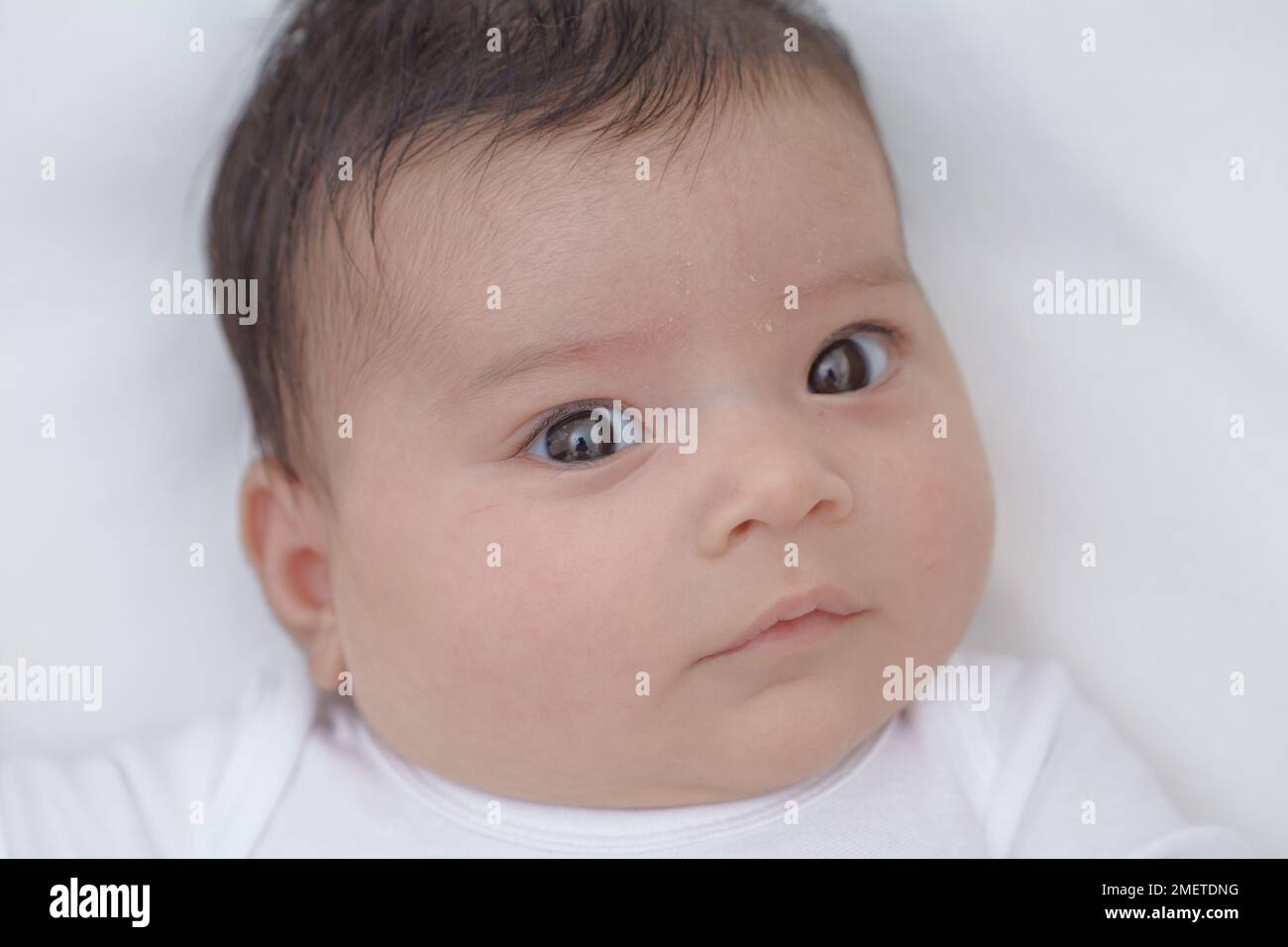 Baby girl (6 weeks Stock Photo - Alamy