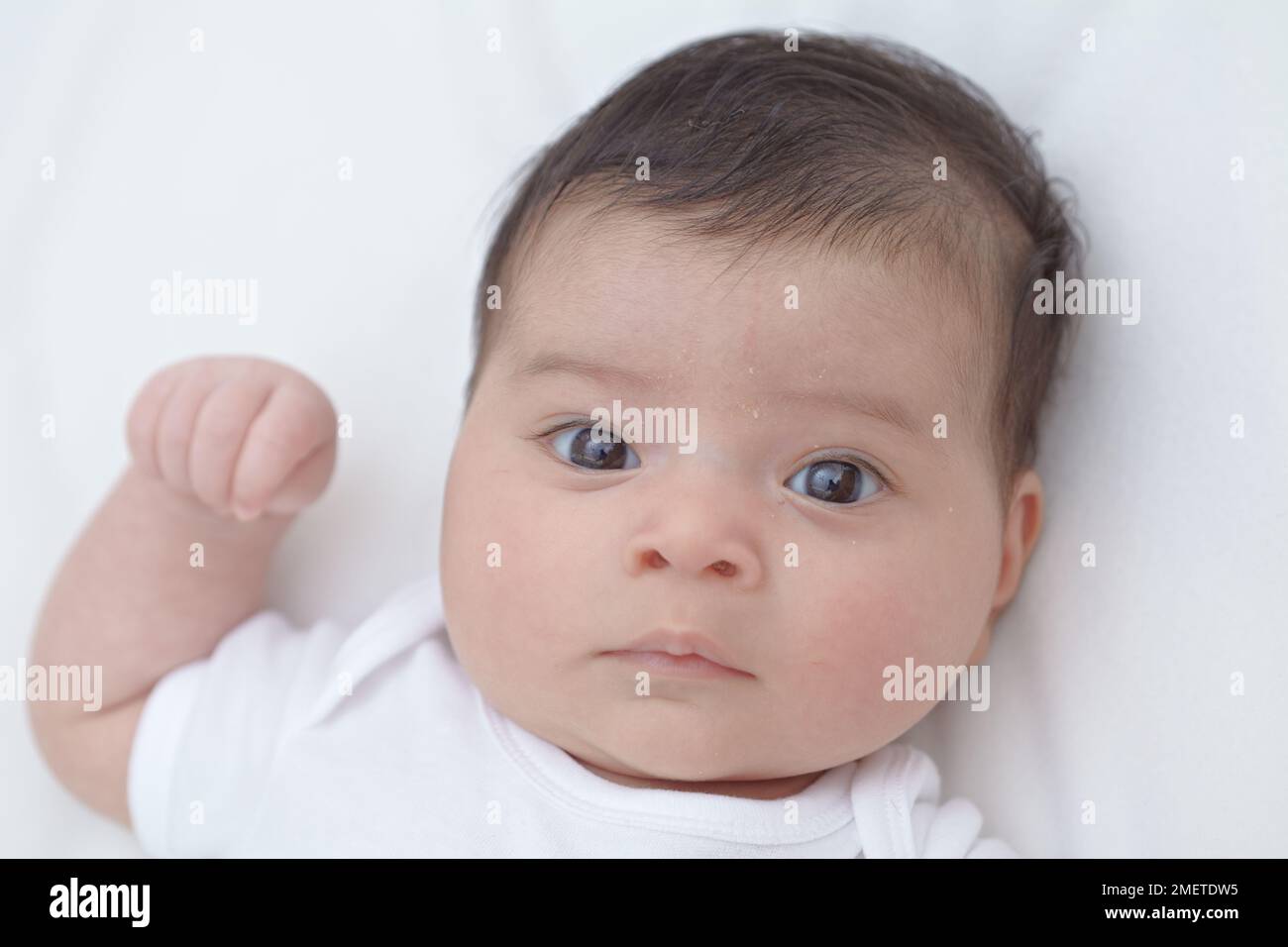 Baby girl (6 weeks) looking at camera Stock Photo - Alamy