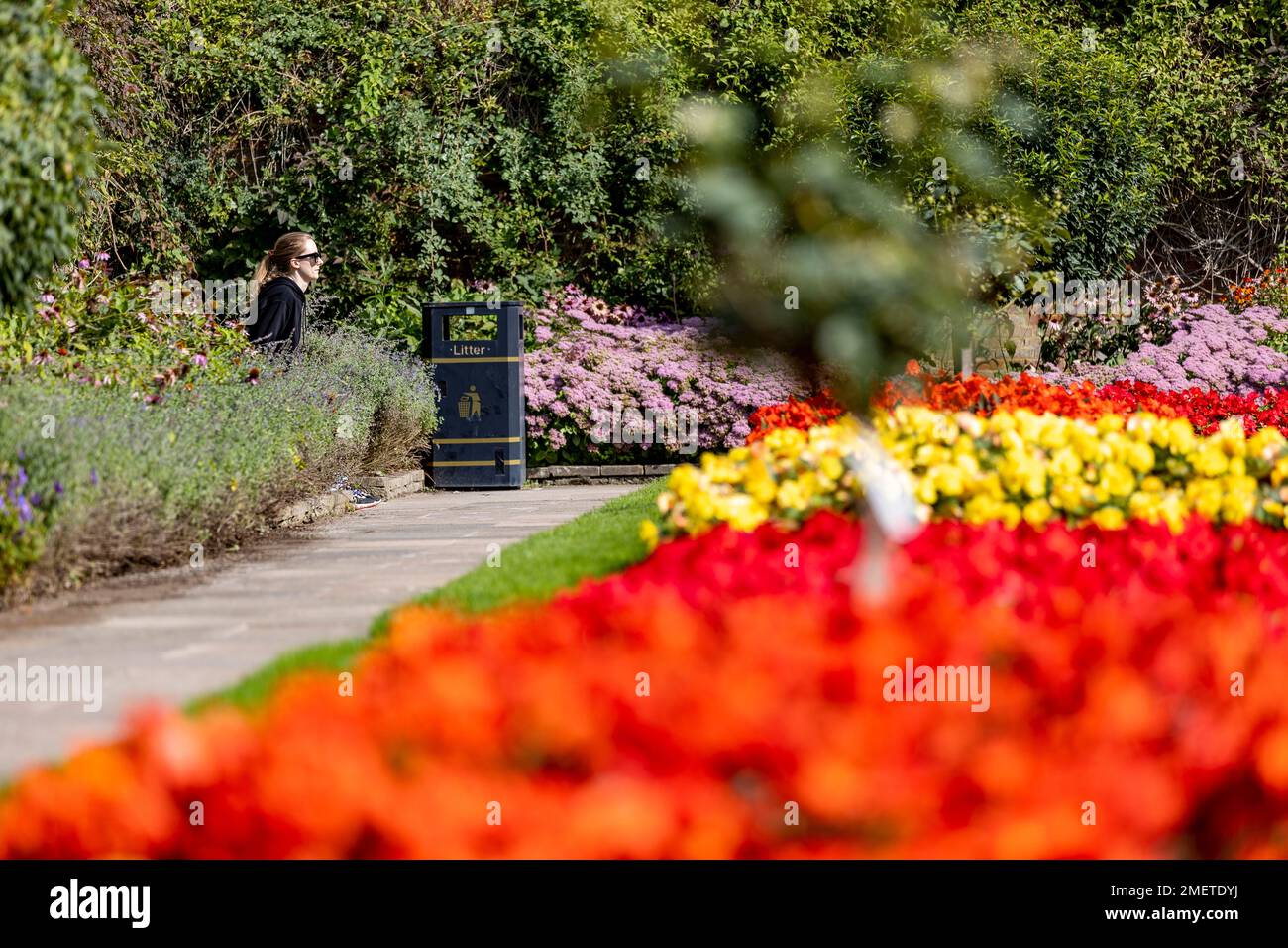 Hemel water gardens hi-res stock photography and images - Alamy