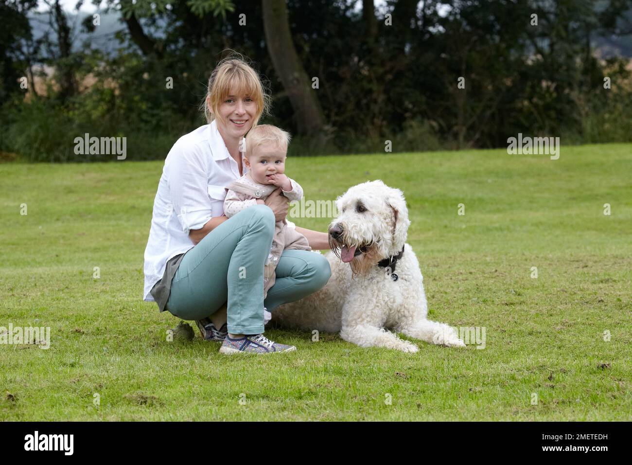 Labradoodle: with family Stock Photo - Alamy