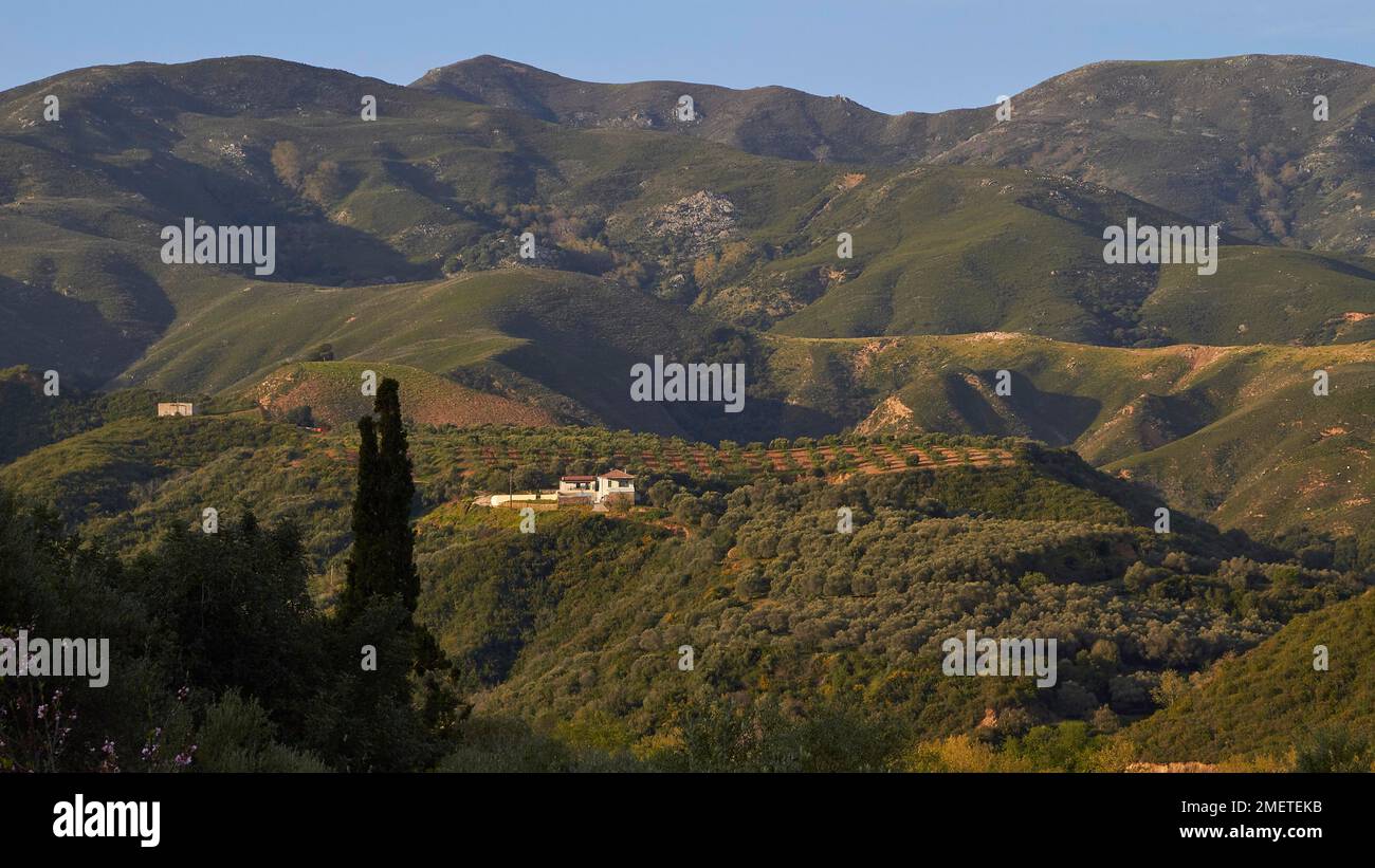 Spring in Crete, green hills, house, olive groves, blue sky, western ...