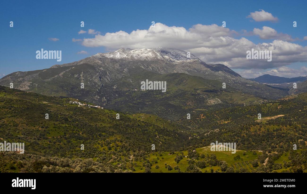 Spring in Crete, green meadows, olive groves, snow-capped mountains ...
