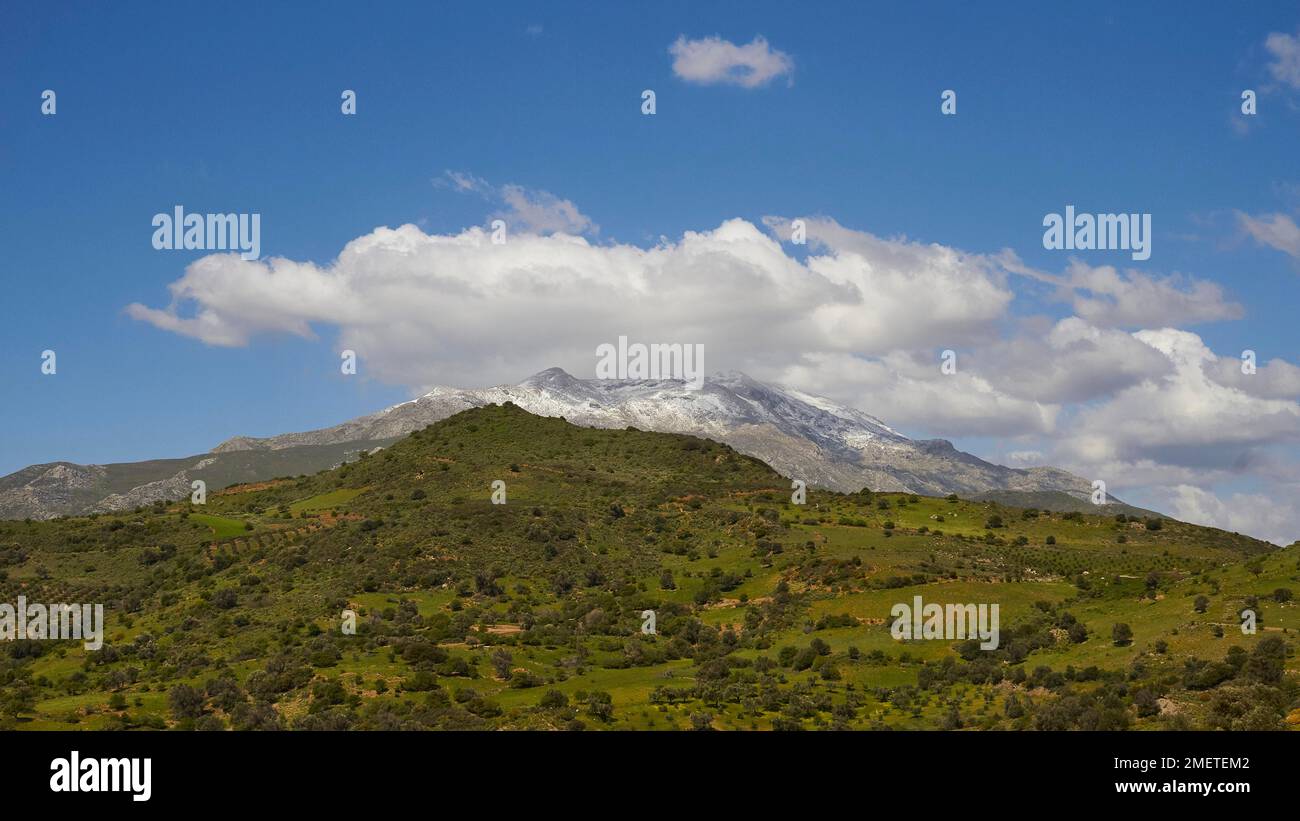 Spring in Crete, green meadows, olive groves, snow-capped mountains ...