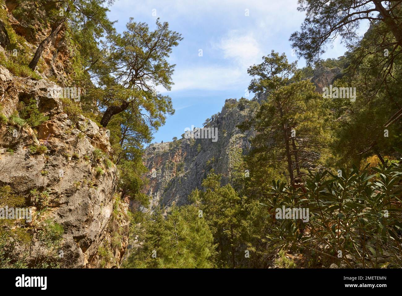 Spring in Crete, Agia Irini gorge, rock face, trees, blue sky, white ...