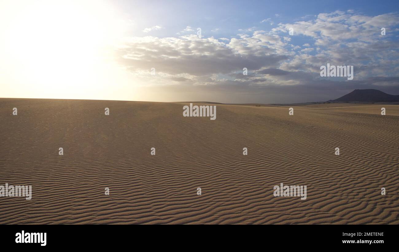 Morning light, backlight, cloudy blue sky, sand desert, wavy structures in the sand, grey hill ...