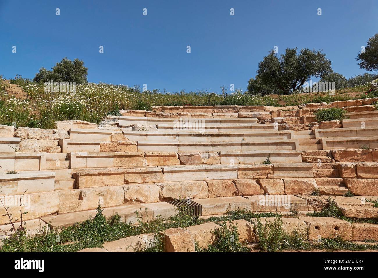 Spring in Crete, spring meadows, excavation site, Dorians, amphitheatre ...