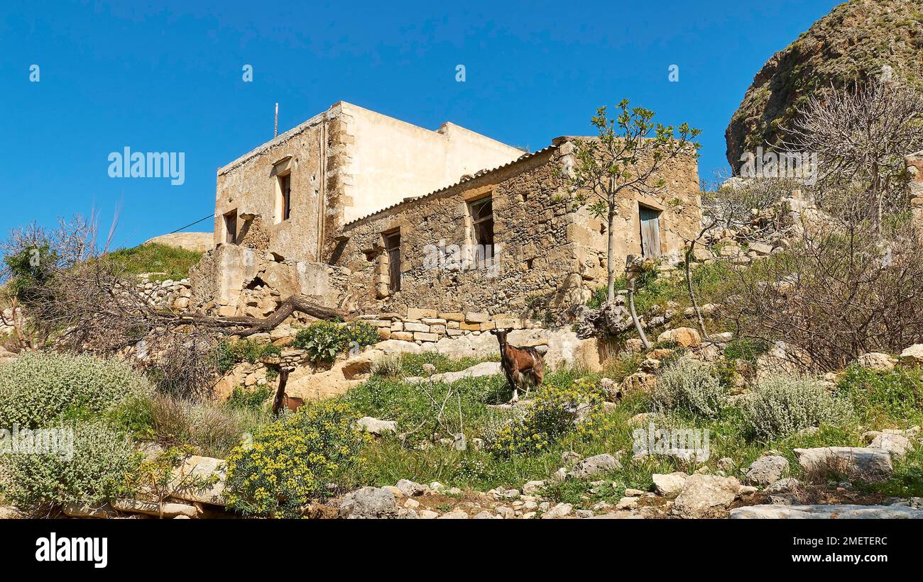 Spring in Crete, Mountain village of Rokka, Excavation site, Rokka ...