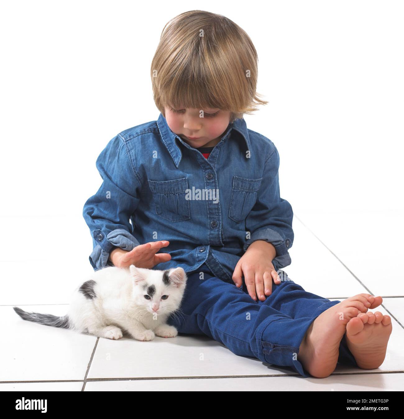 Boy sitting next to a kitten, 3 years Stock Photo - Alamy