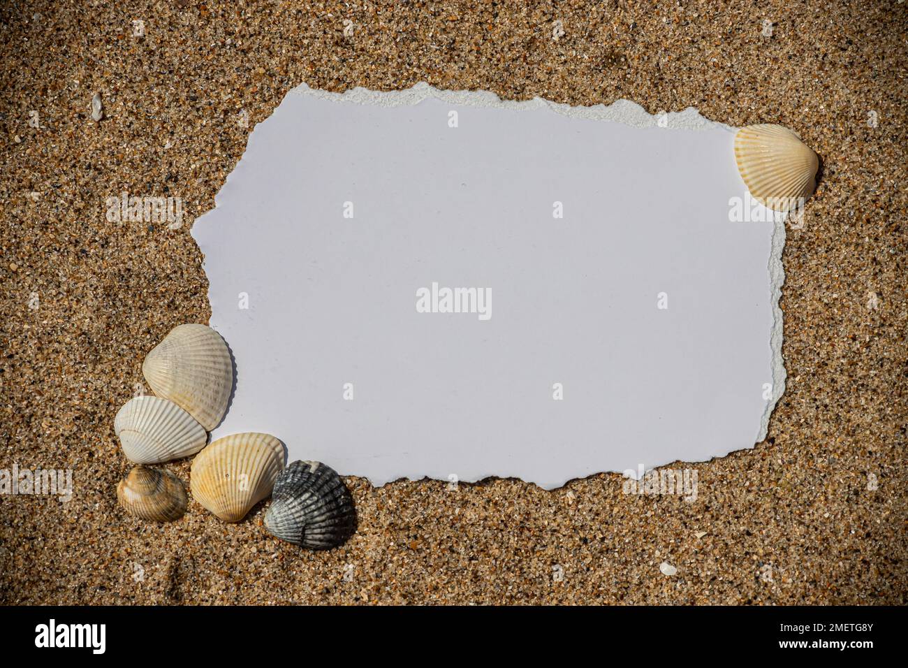Blank white sheet of paper on white sand with seashells and stones ...