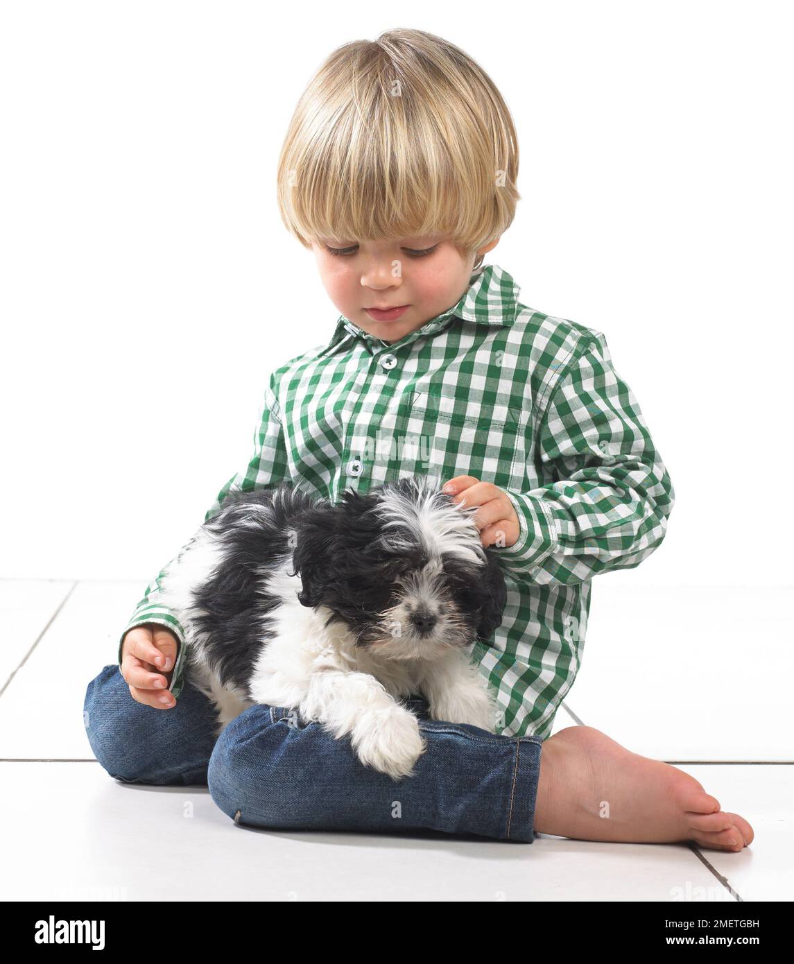 Studio shot boy with puppy hi-res stock photography and images - Alamy