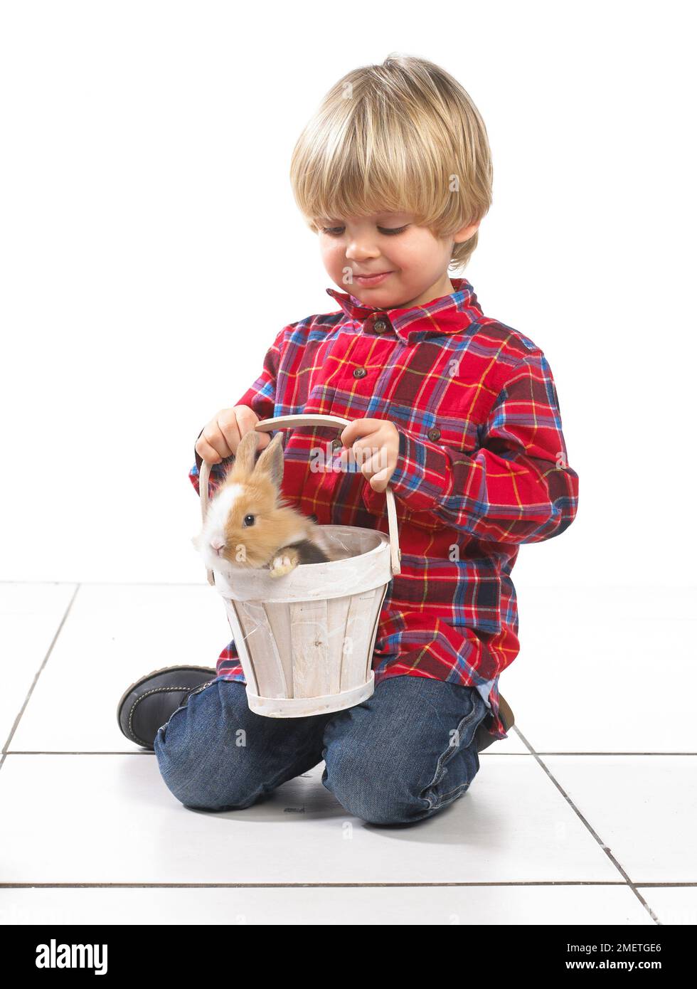 Young boy holding rabbit in wooden bucket, 2 years Stock Photo - Alamy