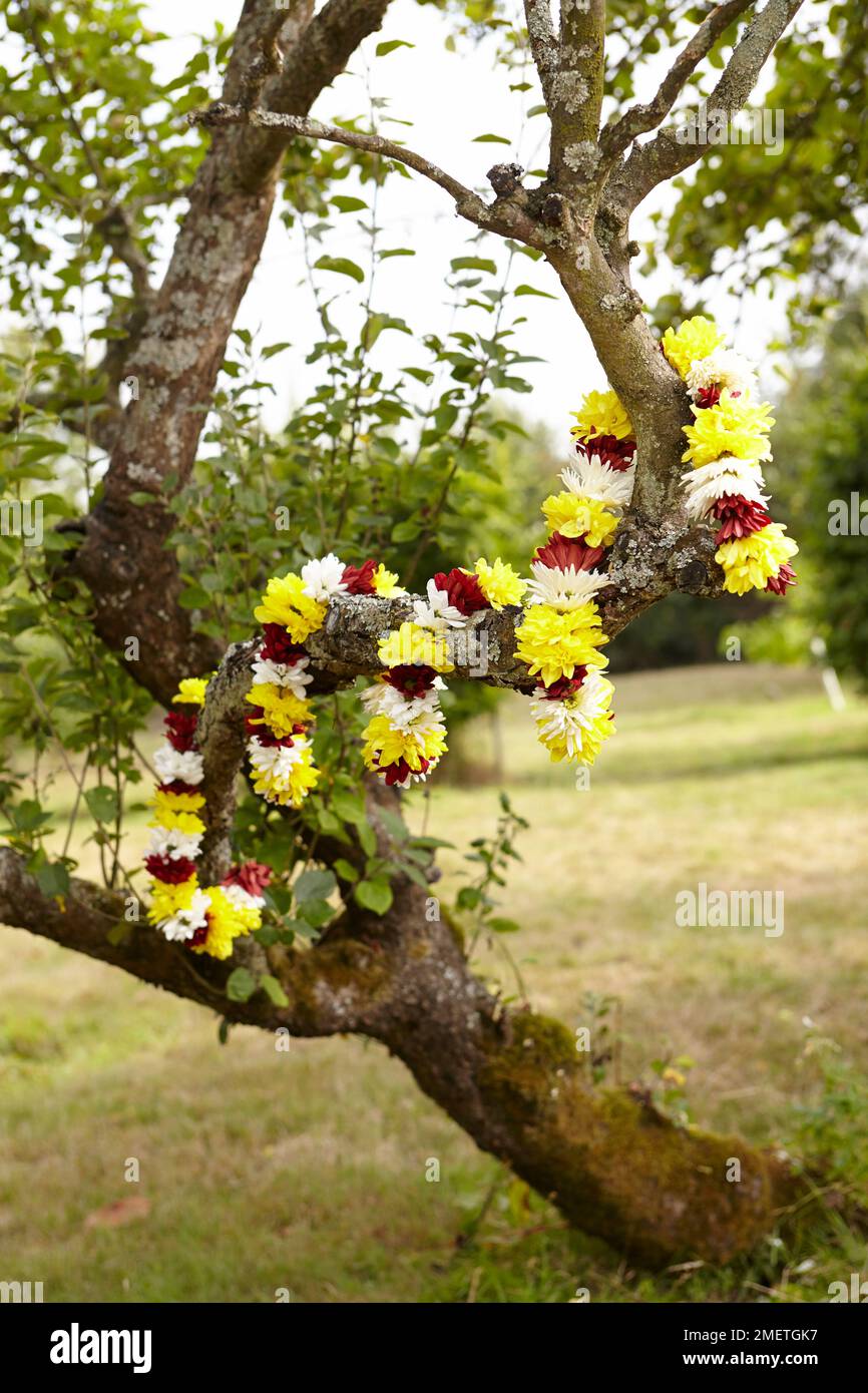 Flower garlands draped in tree Stock Photo - Alamy