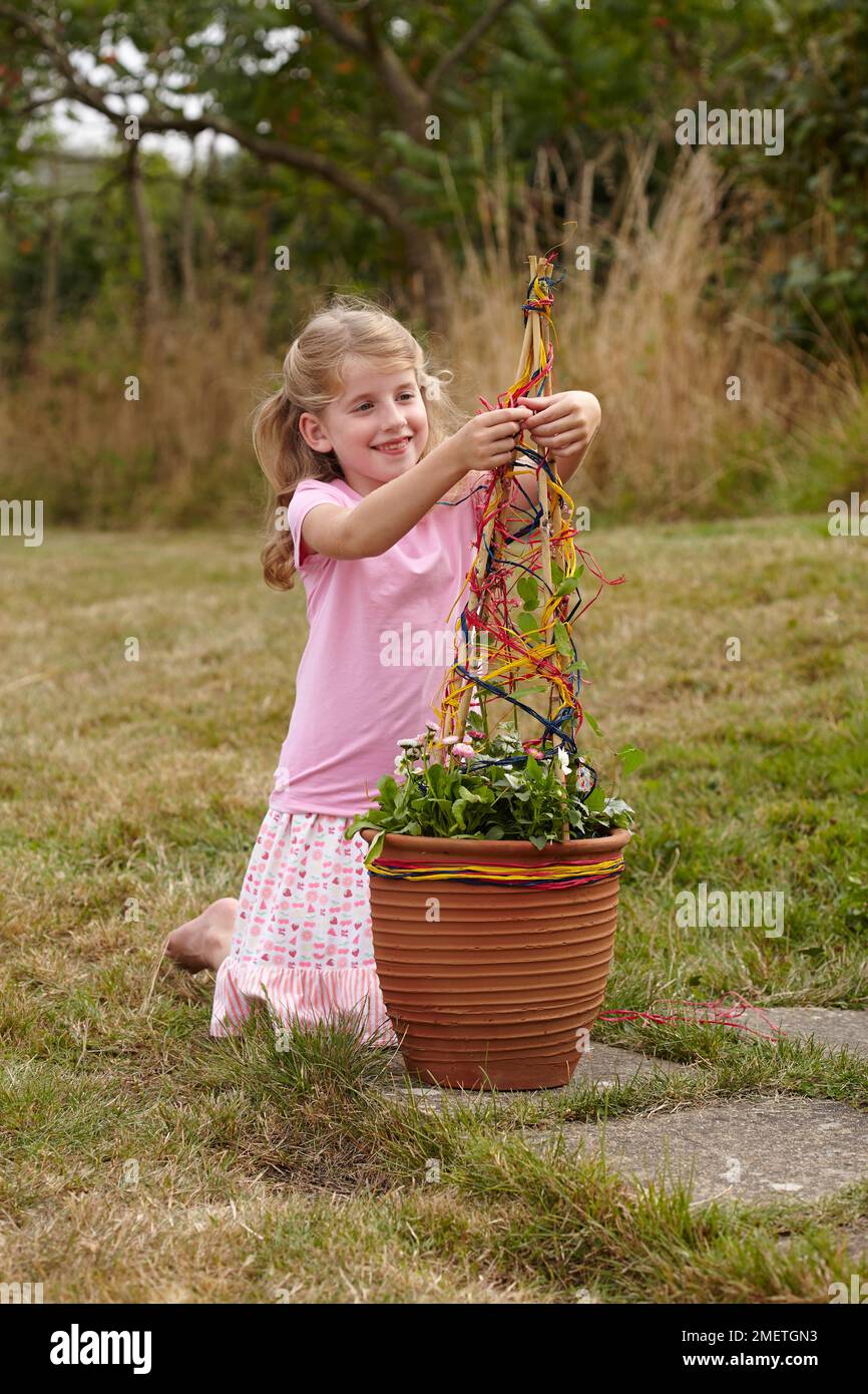 Creating a tee pee or wigwam trellis using raffia and ribbons Stock ...