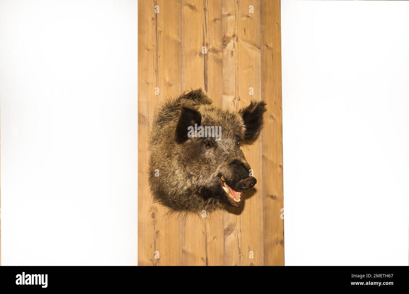 Hangs head hi-res stock photography and images - Alamy