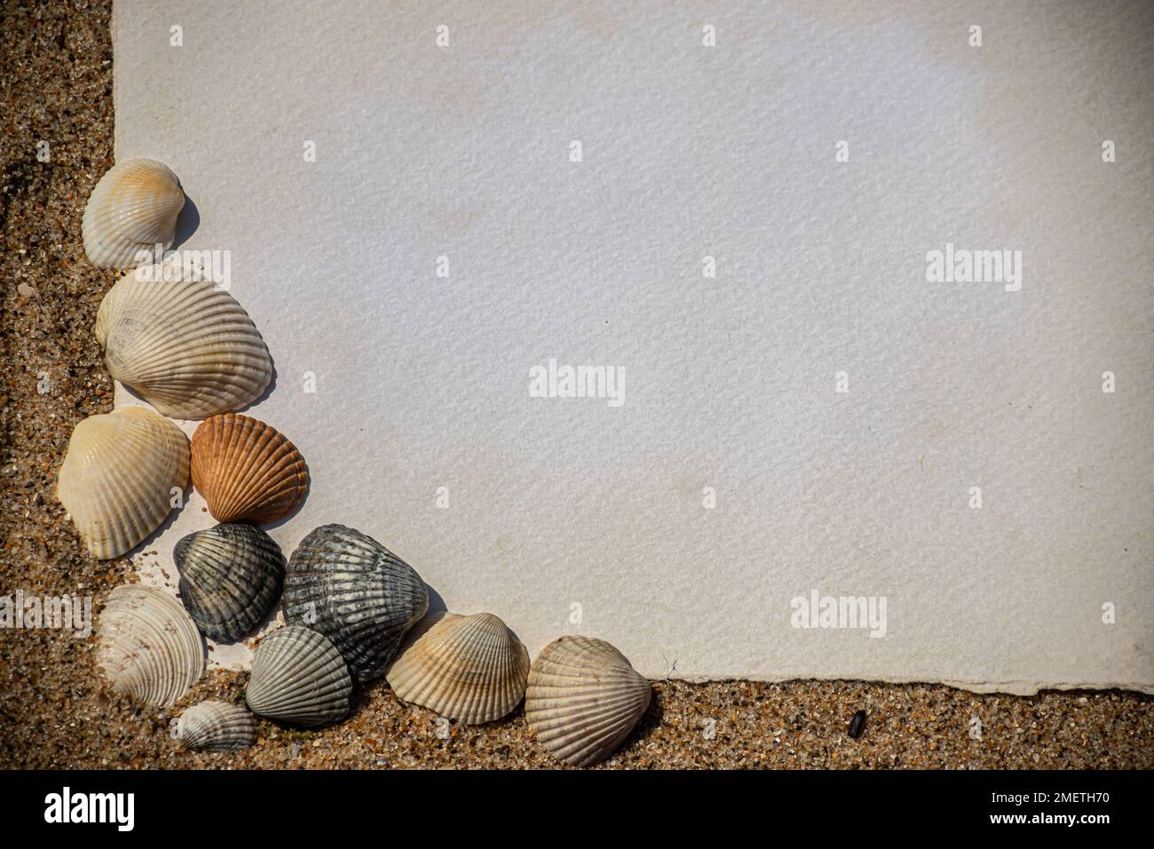 Blank white sheet of paper on white sand with seashells and stones ...