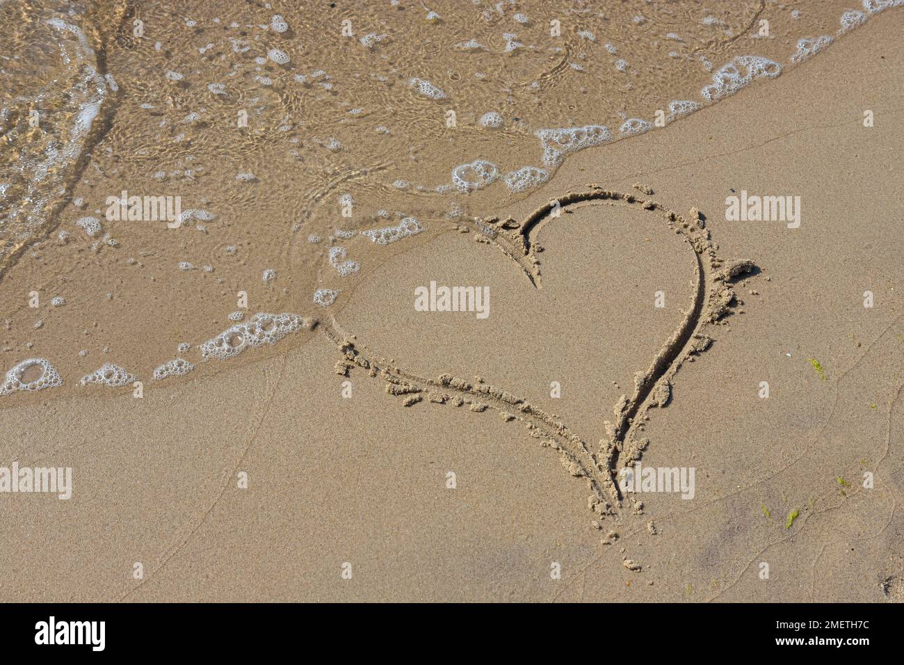 Grain of sand hi-res stock photography and images - Alamy